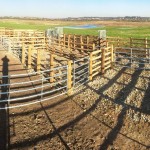 Gallery - BF Ground Maintenance Ltd